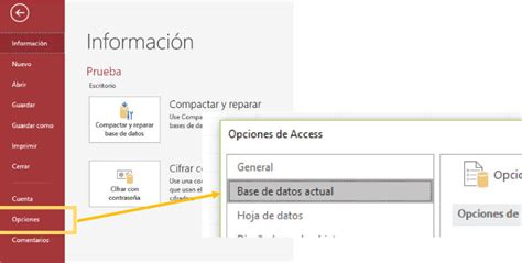 Ocultar El Panel De Control En Access