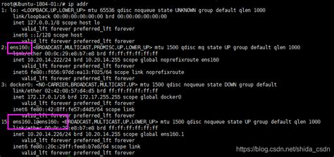 Docker 使用 Macvlan 实现跨主机网络通信ip Link Set Promisc On Dev Ens160 Csdn博客