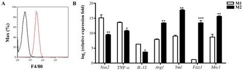 Microarray Analysis Of Circular Rna Expression Patterns In Polarized Macrophages Pmc