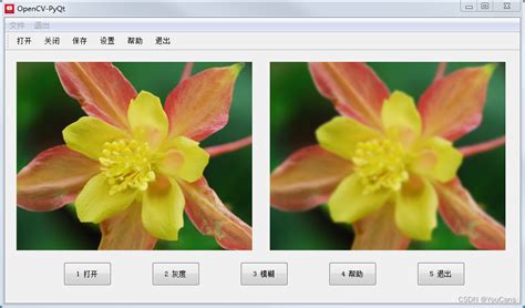 OpenCV PyQT项目实战5项目案例01图像模糊 pyqt5 设置border image边缘模糊 CSDN博客