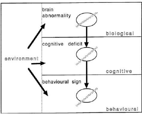 Figure 23 From Investigating Syntactic Priming During Sentence Comprehension In Developmental