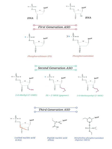 Chemical Modifications Of Antisense Oligonucleotides Download Scientific Diagram