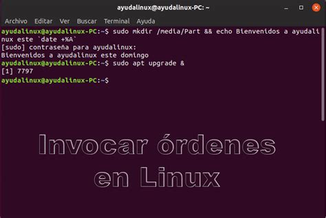 Cómo Invocar órdenes En Linux A Través De La Shell