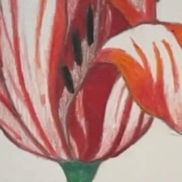 Mark Liam Smith On Instagram Draw A Realistic Tulip Drawing Lesson With Color On How To Draw