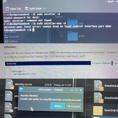 accessing zerotier permissions r steamdeck