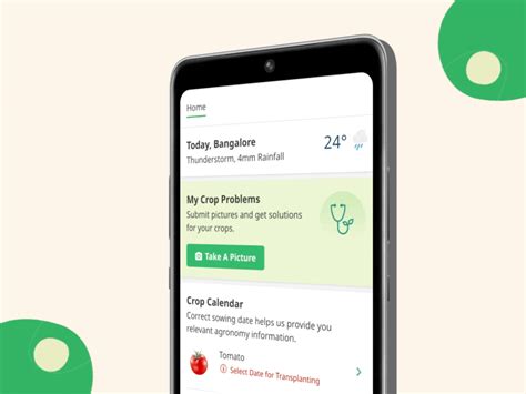 Crop Diseases Designs Themes Templates And Downloadable Graphic Elements On Dribbble