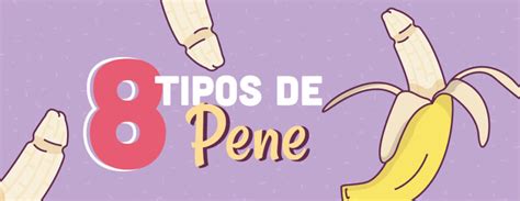 8 Tipos De Pene Copa Uva