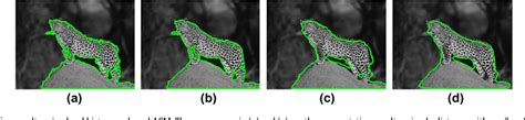 Figure From Active Contour Model Driven By Local Histogram Fitting Energy Semantic Scholar