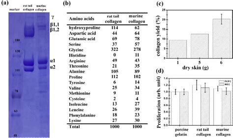 Figure 1 From Bioengineering Vascularized Tissue Constructs Using An Injectable Cell Laden