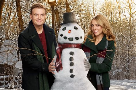 On The Twelfth Day Of Christmas Dvd 2015 Hallmark Movie Brooke Nevin