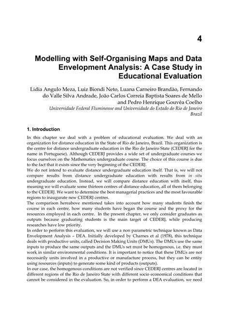 pdf modelling with self organising maps and data envelopment analysis