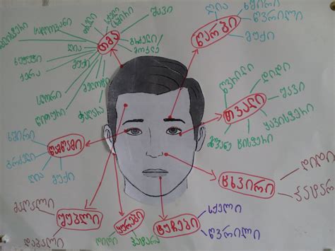 ქართული როგორც მეორე ენა სასწავლო რესურსები