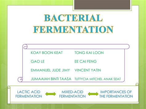 Group10 Bacterial Fermentation Pptx
