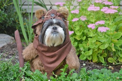 Ewok Army