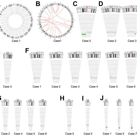 Patterns Of Chromosomal Rearrangements And Copy Number Alteration A