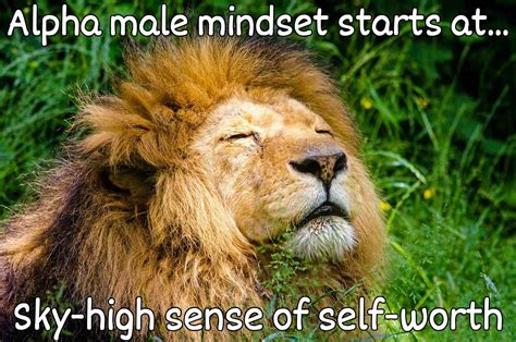 How To Be An Alpha Male In 10 Simple Steps The Power Moves