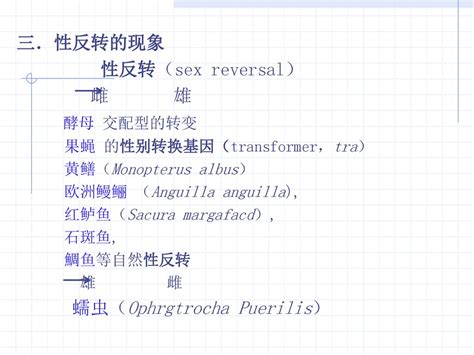 第三章 性别决定和性相关遗 性别决定（sex Determination） 性别分化（sex Differentiation Ppt