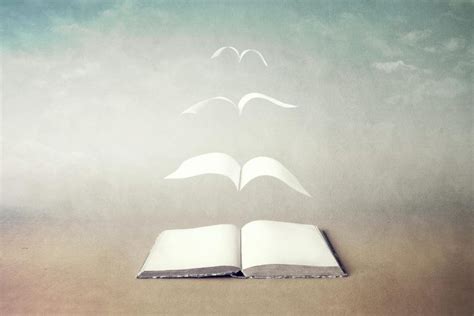 exploring cultural differences in language meaning the intriguing
