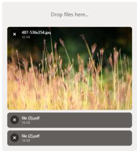 Angular FilePond Tutorial File Uploader With Life To Level Next
