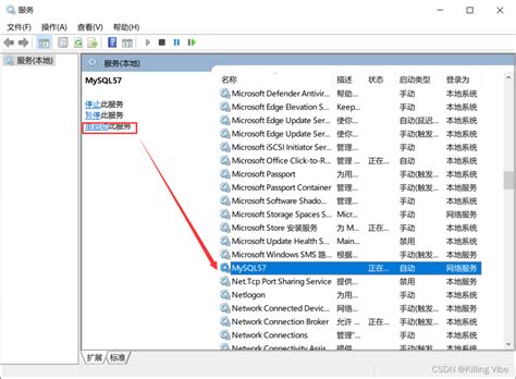 Mysql忘记密码怎么办（附免密登录和修改密码） 阿里云开发者社区