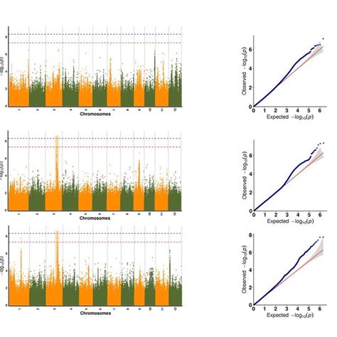 Experimental Design And Variant Statistics A Geographical Origins Of