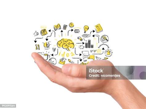 Mano Agarrando Un Objeto Sobre Fondo Blanco Foto De Stock Y Más Banco De Imágenes De Adulto