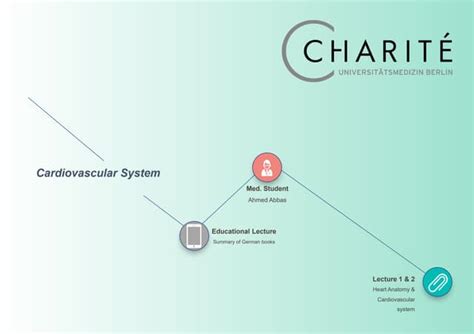 Cardiovascular Lec 1and2 Ppt