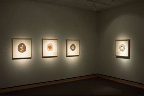 How To Choose Art Gallery Lighting The Ultimate Guide