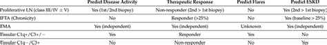 Kidney Biopsy And Related Lupus Nephritis Ln Biomarkers Download Scientific Diagram