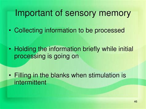 Sensory Memory