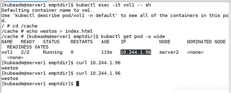 K8s之 Volumes配置管理（emptydir、hostpath、nfs方式挂载卷）hostpath挂载目录不能插入log Csdn博客