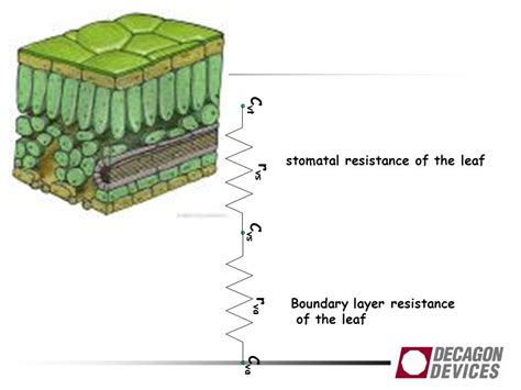 Decagon Devices And Washington State University Ppt Video Online Download