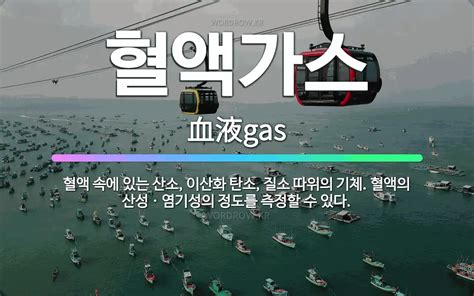 🌟혈액가스 혈액 속에 있는 산소 이산화 탄소 질소 따위의 기체 혈액의 산성ㆍ염기성의 정도를 측정할 표준국어대사전