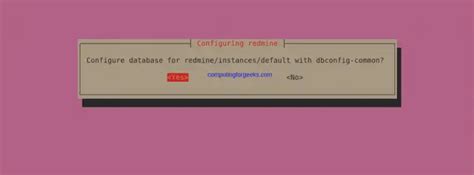 How To Install Redmine On Ubuntu 2004 Linux Computingforgeeks