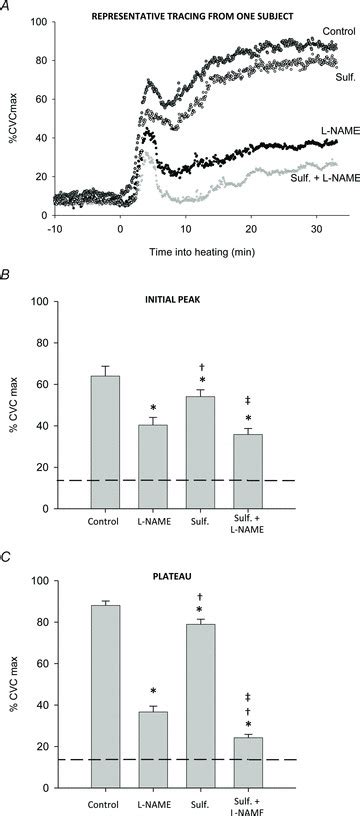 Summary Of The Results Of Protocol 2 All Data Are Download Scientific Diagram
