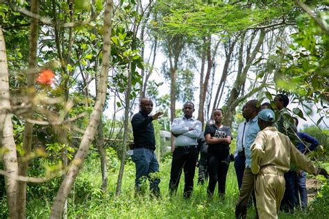 Iucn Member Rwca Celebrated 5 Years In Habitats Restoration In Rwanda Blog Iucn