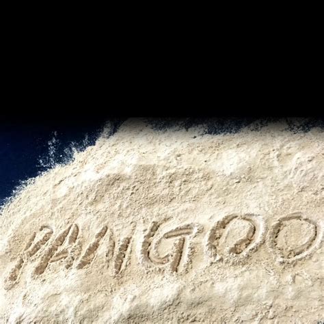 Pro 01 Bacillus Subtilis Fermentation Feed Additives For Animal Feed