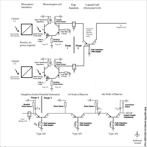 5 1 5 alternate circuit diagram chrominance through first order
