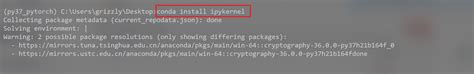 Pytorch 创建pytorch环境及注入jupyter Grizzlys Daily