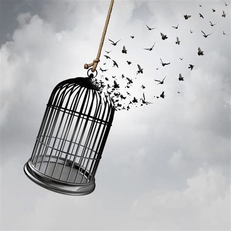 Bird Flying Away From Cage