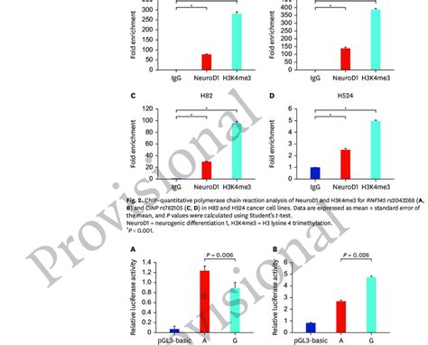 luciferase reporter assays for rnf145 rs2043268a g a and cinp