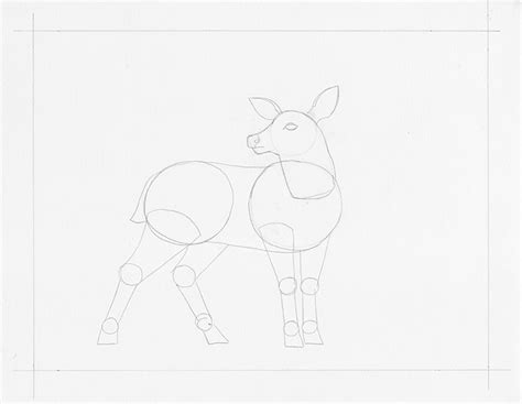 Learn How To Draw A Deer In This Step By Step Tutorial