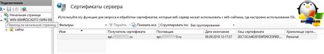 Настройка Ssl на Iis для одного или нескольких сайтов Настройка серверов Windows и Linux