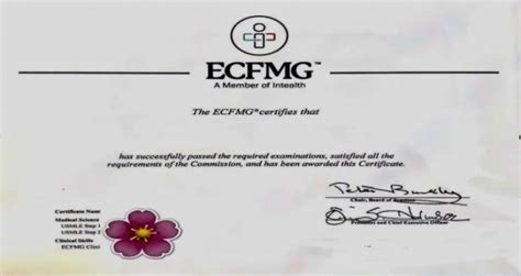 What Is An Ecfmg Certificate A Complete Guide For International