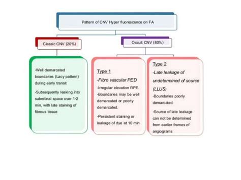 Choroidal Neovascular Membranes Cnvm Pptx