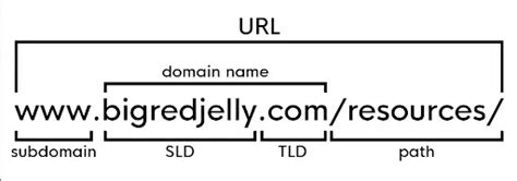 Domain Hosting Vs Web Hosting Whats The Difference Big Red Jelly