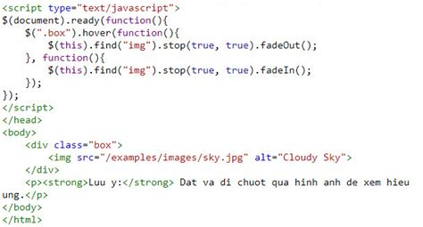 Phương Thức Stop Trong Jquery Có Ví Dụ Minh Họa