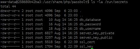 Problem With Reverse Proxy Migrating Pro From Source To Docker Pro Rootless Installation