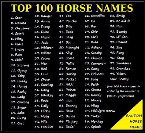 Pin By Patricia Gottschall On Horse Names Horse Names Horse Show