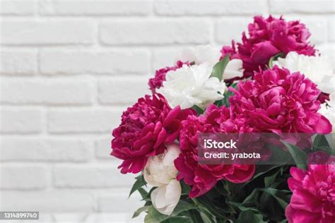 밝은 배경에 꽃병에 붉은 꽃 모란의 꽃다발 닫고 방에 향기로운 여름 꽃 작약에 대한 스톡 사진 및 기타 이미지 작약 꽃병 0명 Istock